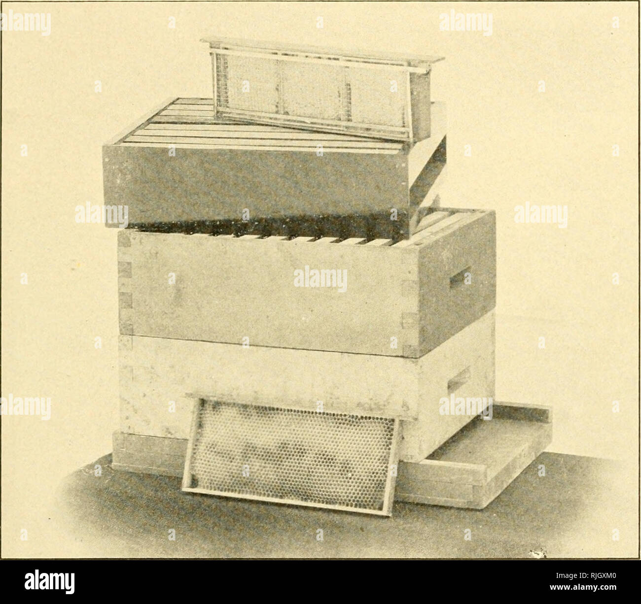 Hatched sections hi-res stock photography and images - Alamy