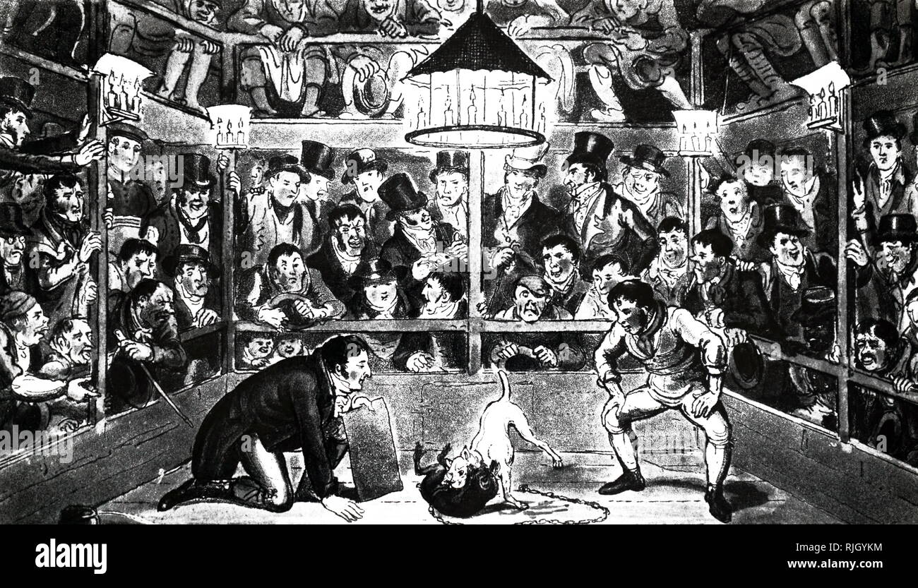 Cruikshank cartoon hi-res stock photography and images - Alamy