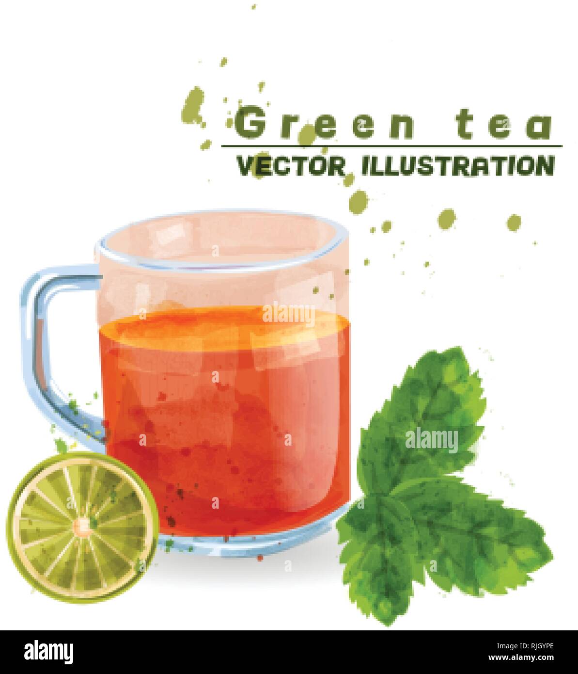 Green tea cup watercolor Vector. Aromatic tea icon template isolated ...
