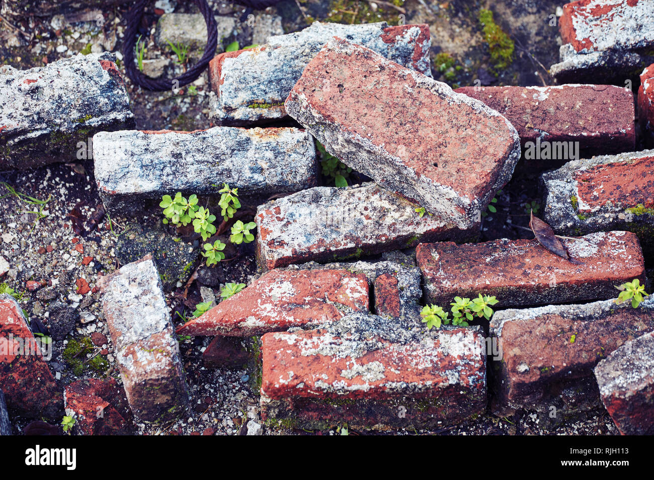 Close up pile of old rubble red bricks from the ruins of a demolished ...