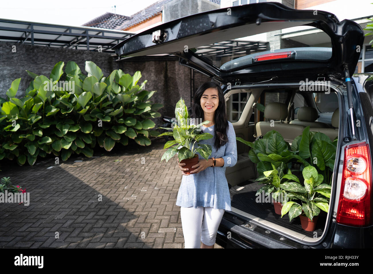woman with plant and tree in her car trunk Stock Photo - Alamy