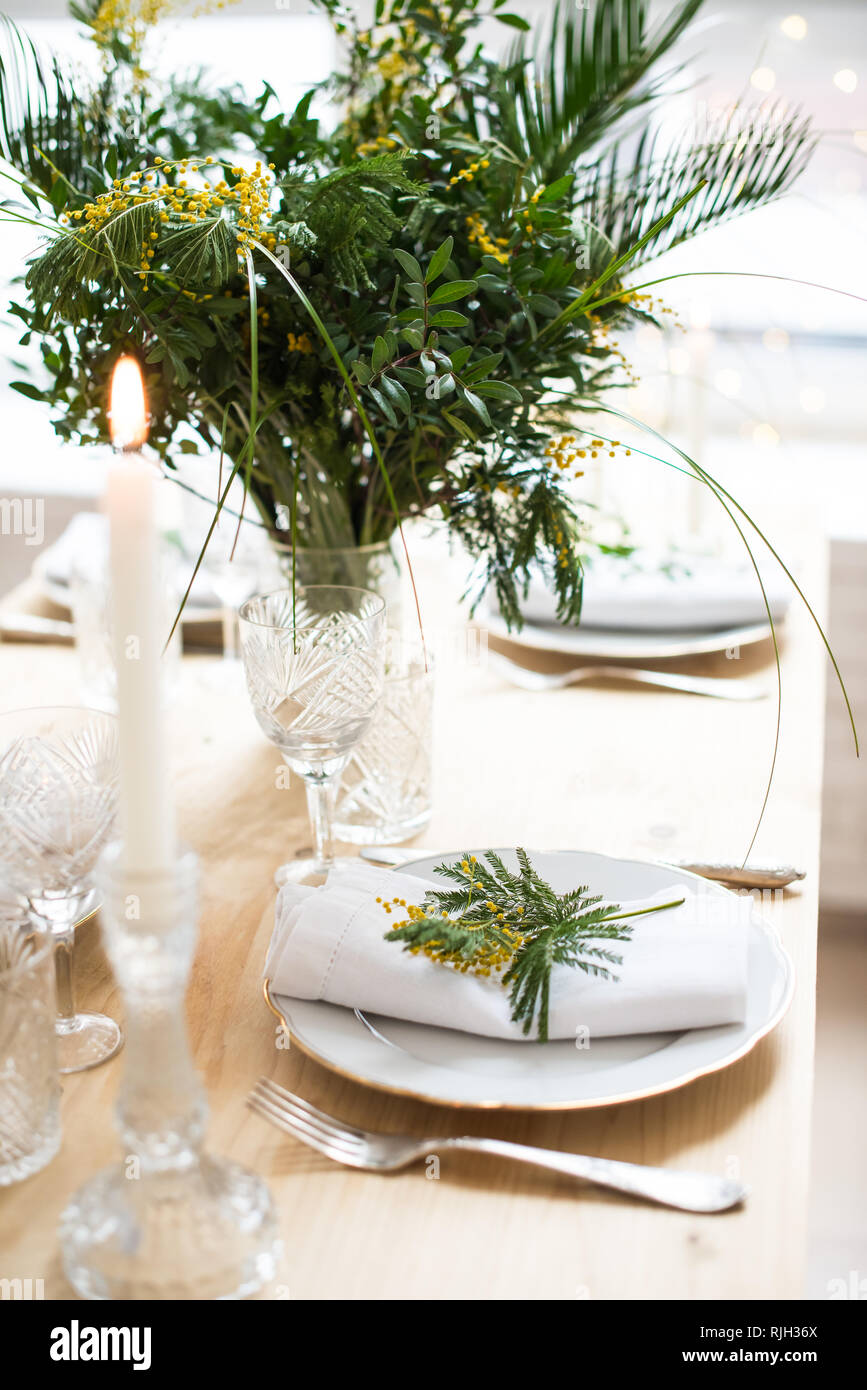 Beautiful springtime table setting with green leaves and mimosa ...