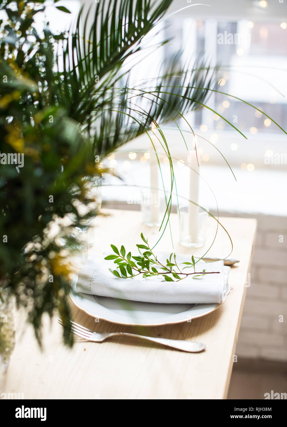 Beautiful springtime table setting with green leaves and mimosa ...