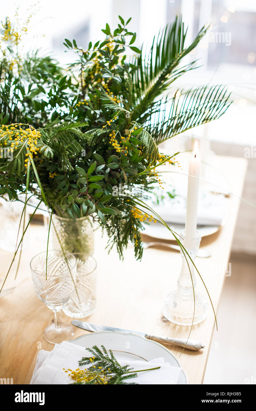 Beautiful springtime table setting with green leaves and mimosa ...