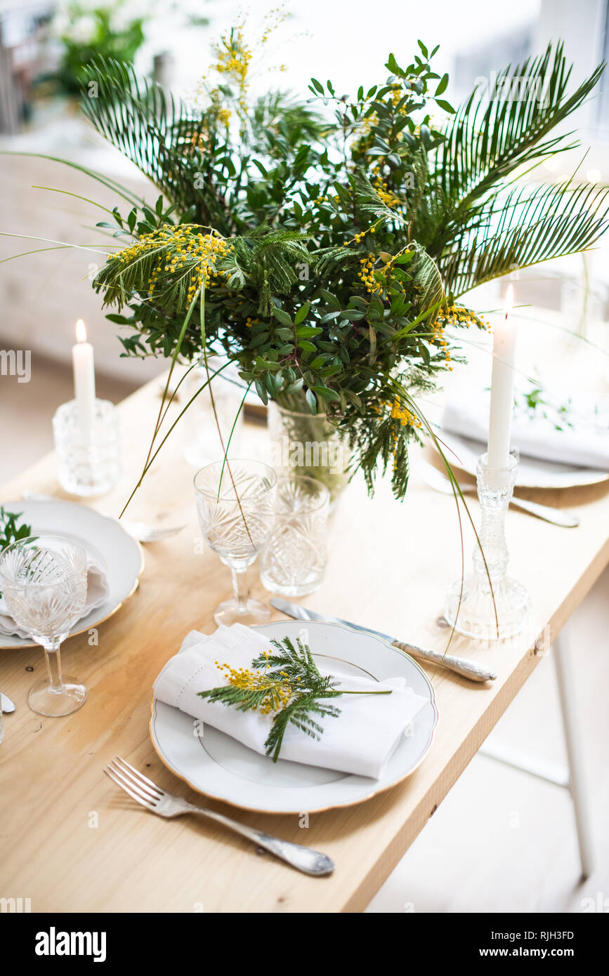 Beautiful springtime table setting with green leaves and mimosa ...