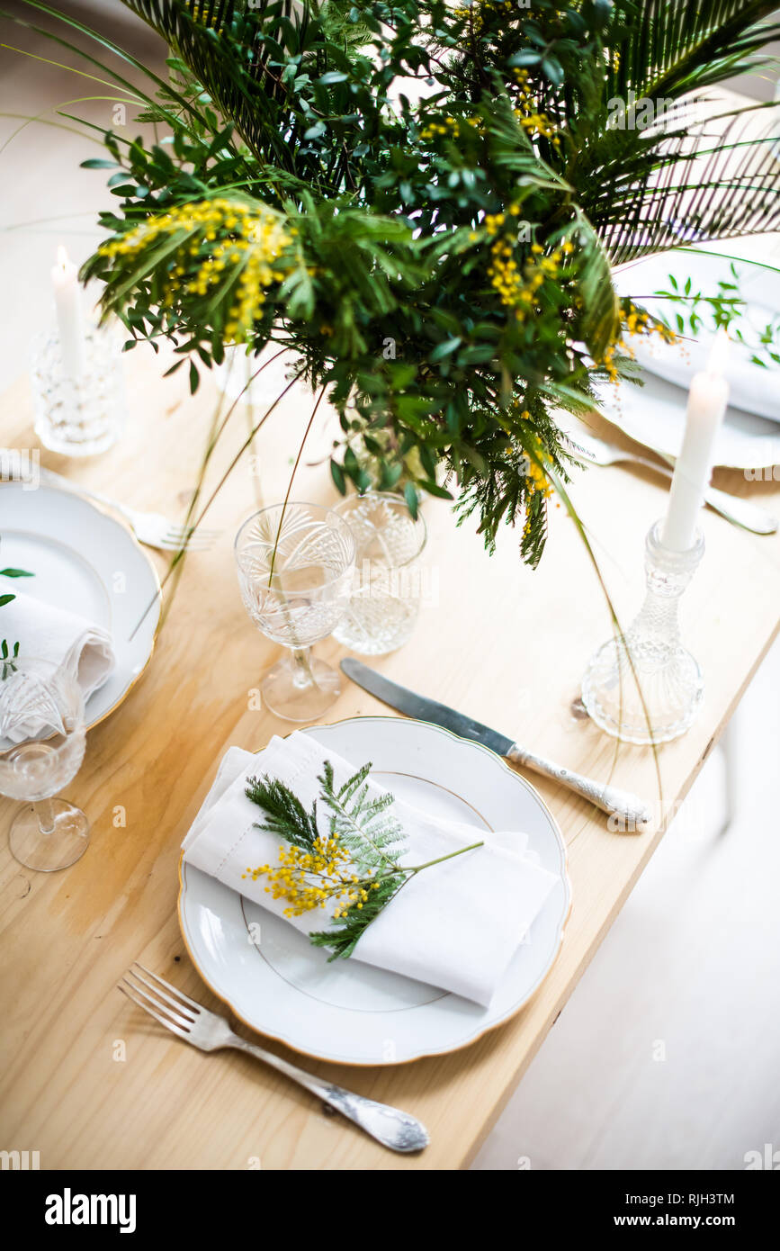 Beautiful springtime table setting with green leaves and mimosa ...