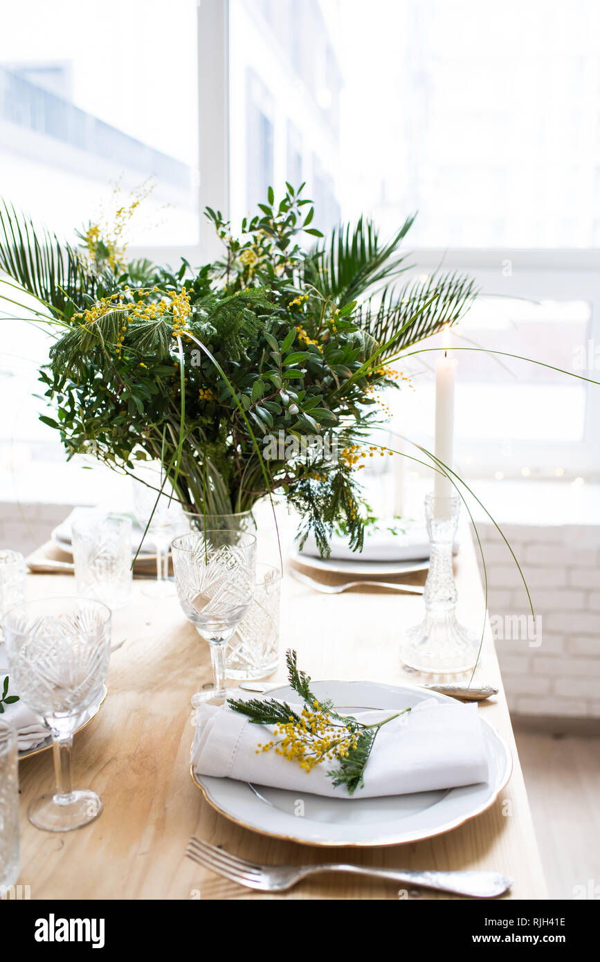 Beautiful springtime table setting with green leaves and mimosa ...