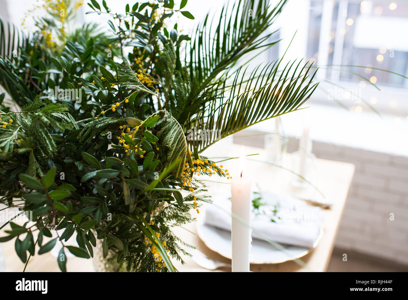 Beautiful springtime table setting with green leaves and mimosa ...