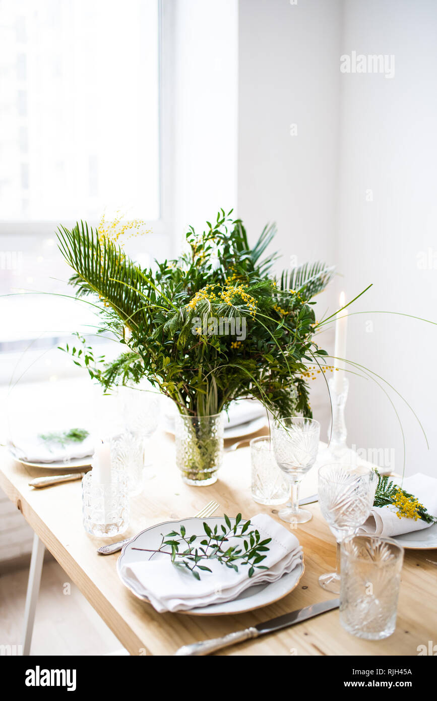 Beautiful springtime table setting with green leaves and mimosa ...