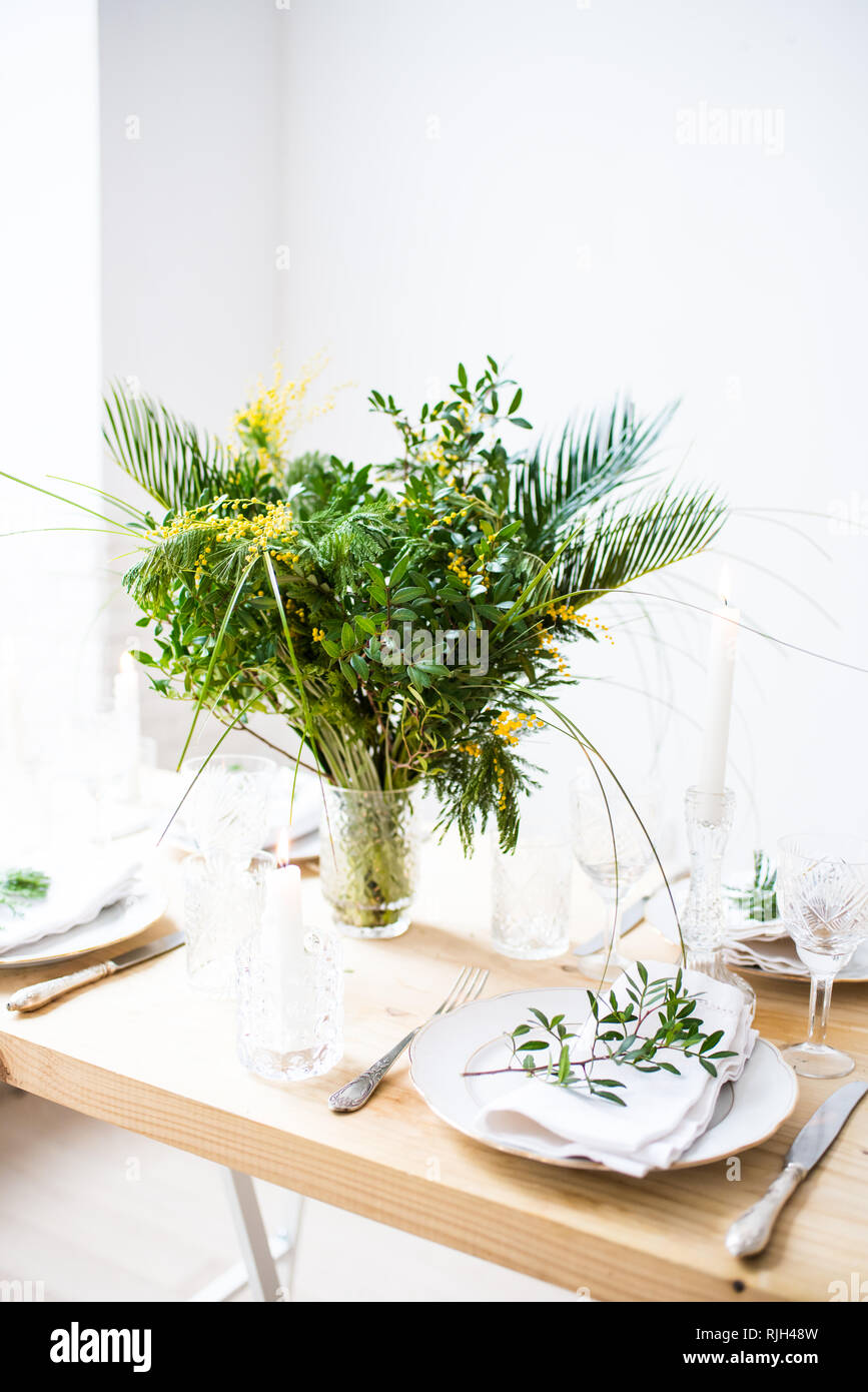 Beautiful springtime table setting with green leaves and mimosa ...