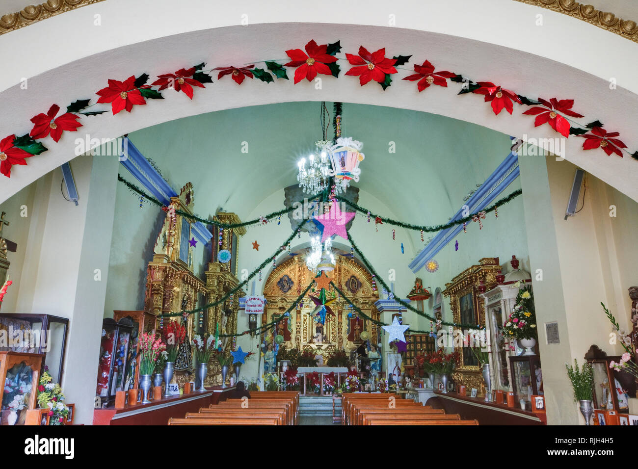 Santa Mara el Tule Stock Photo - Alamy