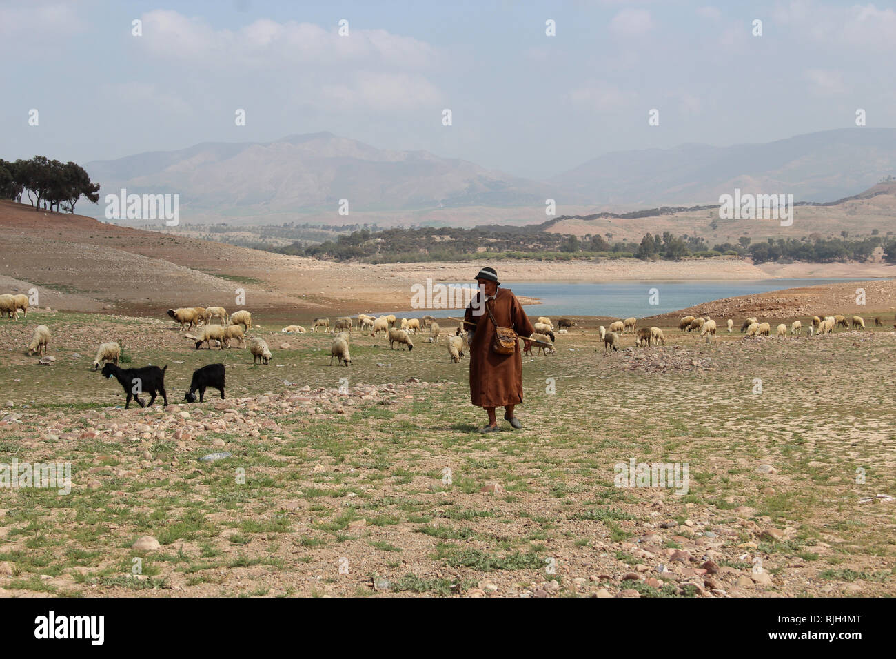 Goatherder hi-res stock photography and images - Alamy
