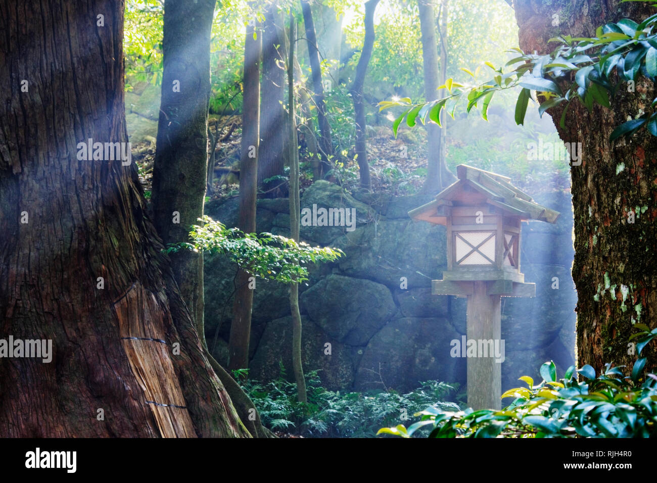Sun shining through japan hi-res stock photography and images - Alamy