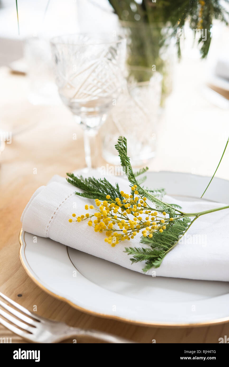 Beautiful springtime table setting with green leaves and mimosa ...
