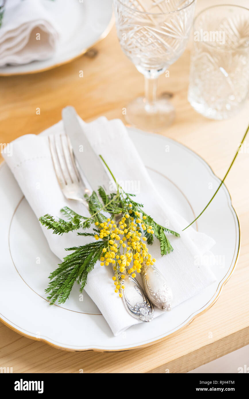 Beautiful springtime table setting with green leaves and mimosa ...