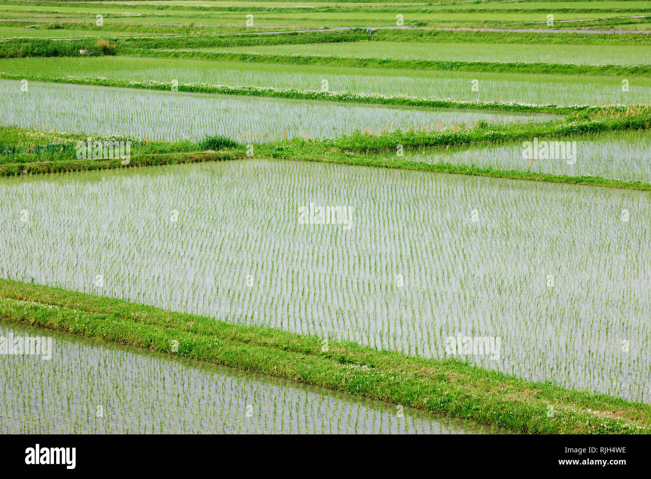 Staple flood hi-res stock photography and images - Alamy