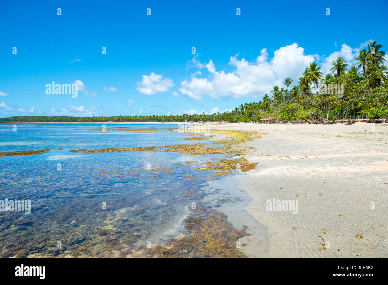Bright scenic view of a remote Brazilian beach with an exposed coral ...