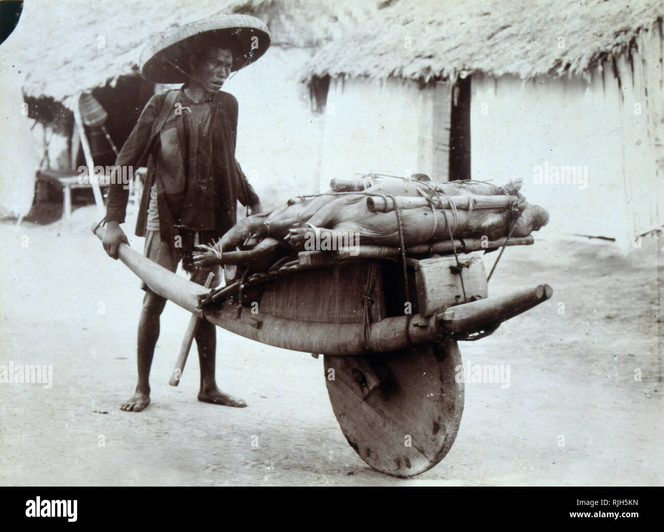 French colonial worker carrying meat to market on wheelbarrow hi-res ...