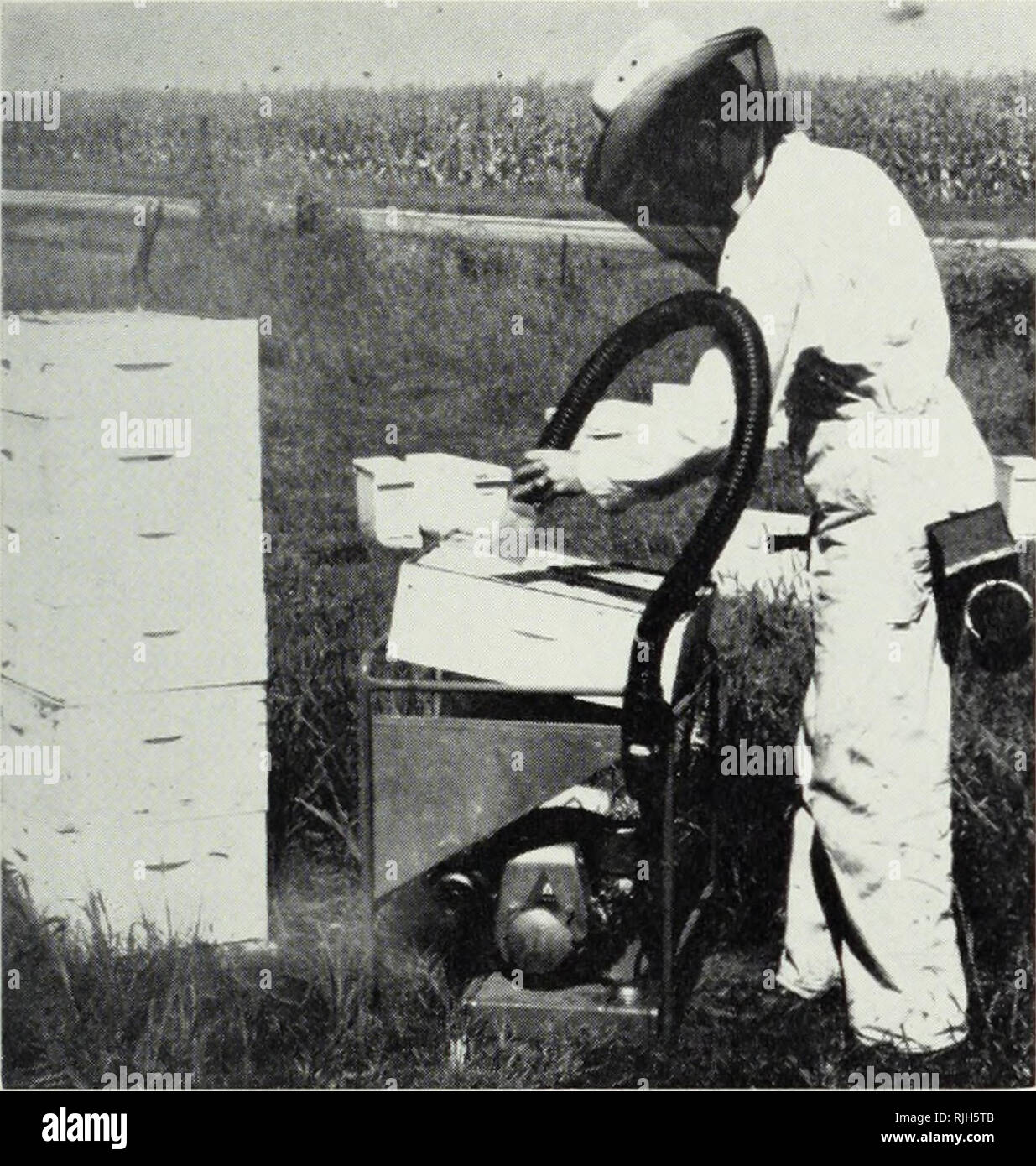 Moth eggs metal hi-res stock photography and images - Alamy