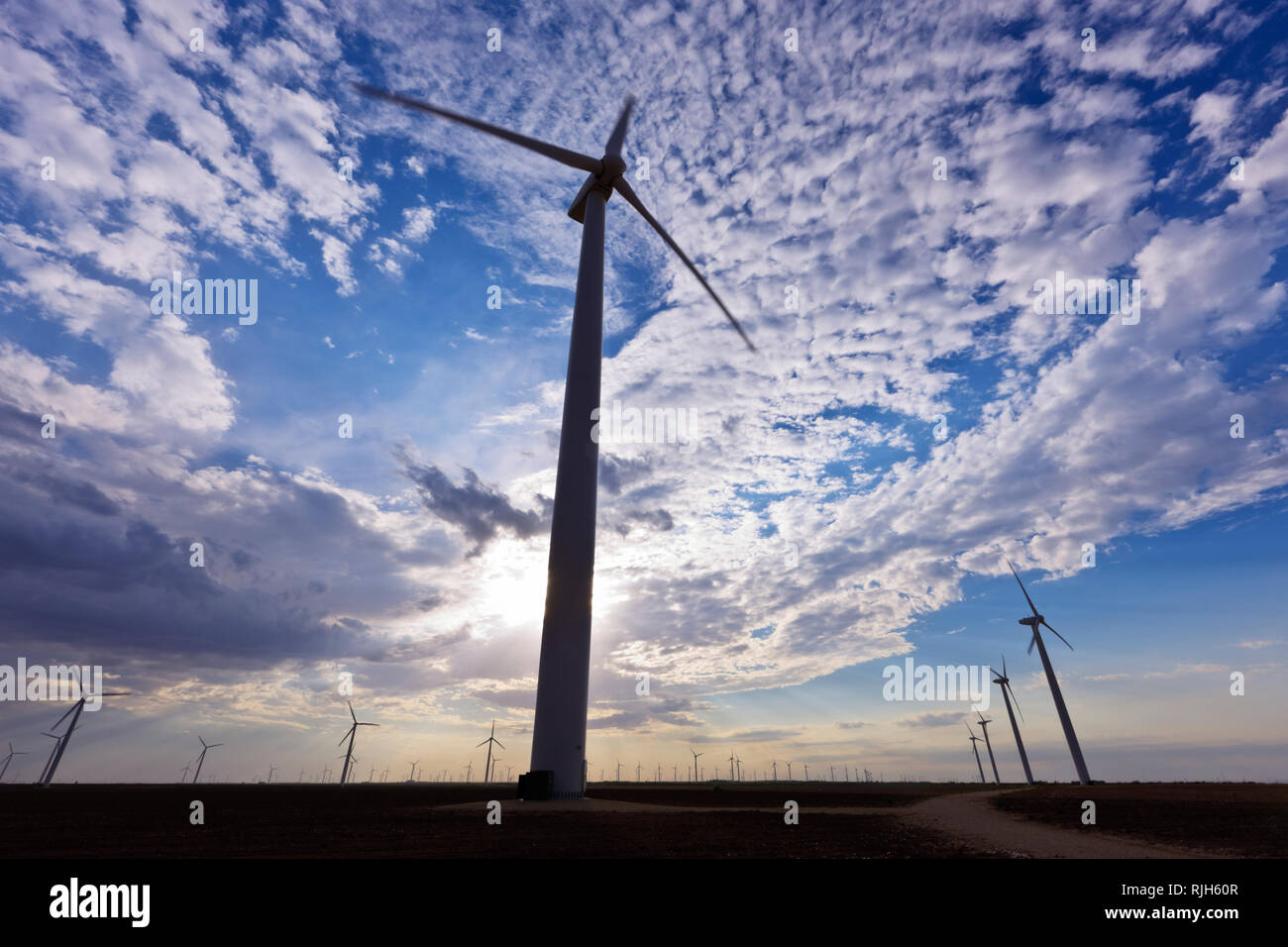 Roscoe wind farm hi-res stock photography and images - Alamy