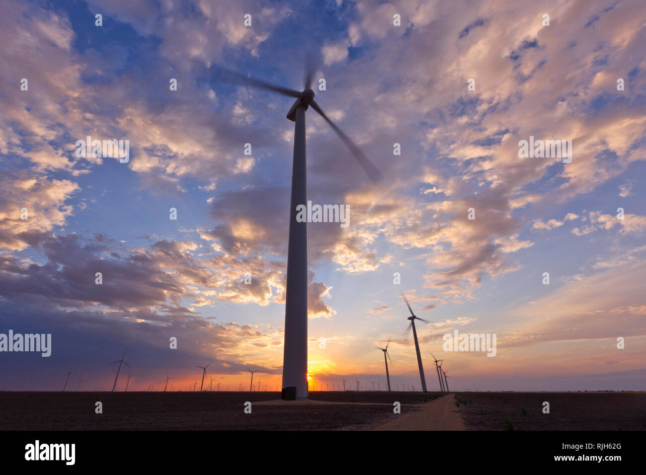 Roscoe wind farm hi-res stock photography and images - Alamy