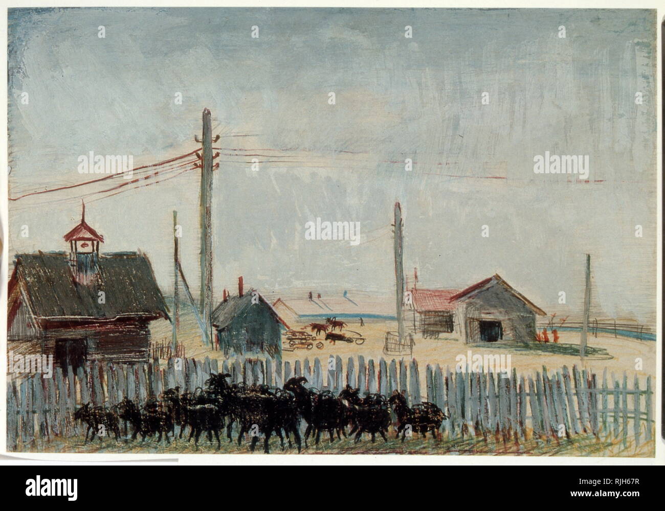 Sheep in perm hi-res stock photography and images - Alamy