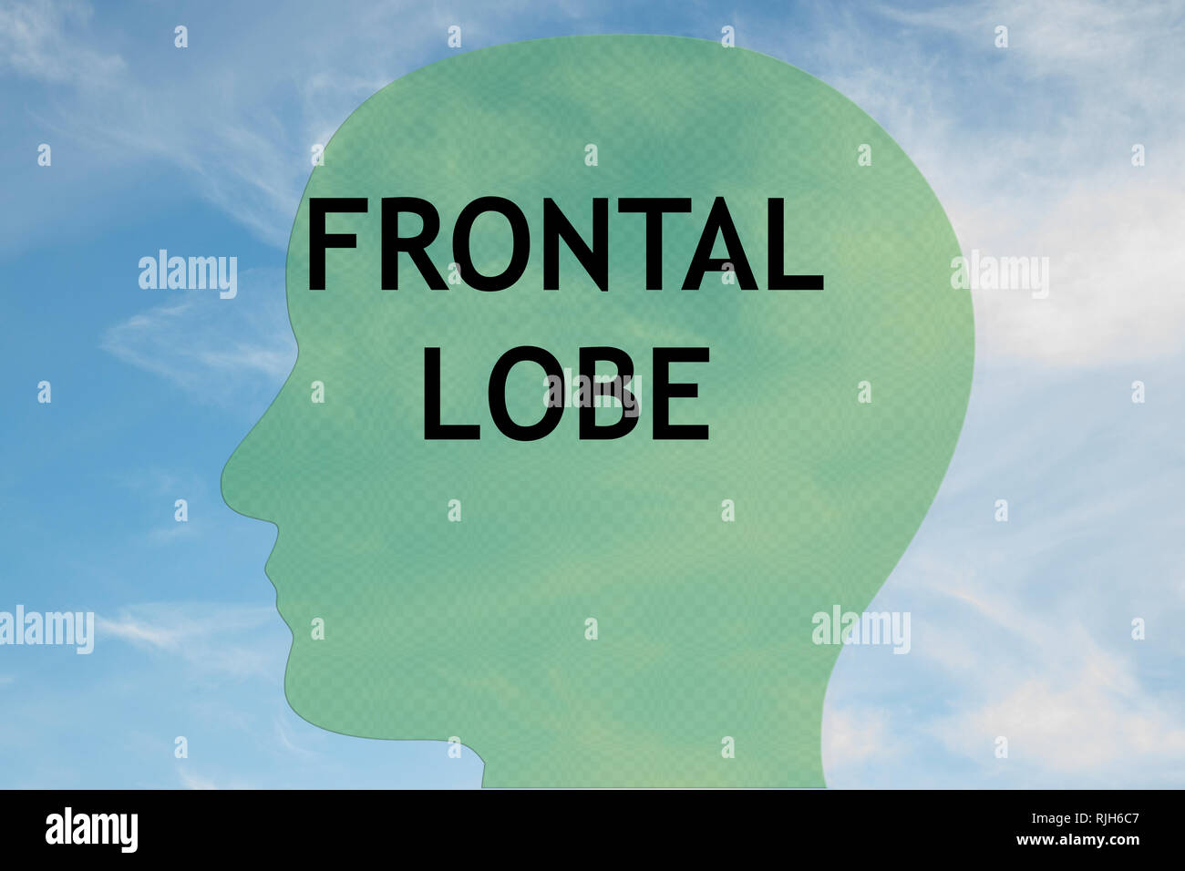 Render illustration of FRONTAL LOBE title on head silhouette, with ...