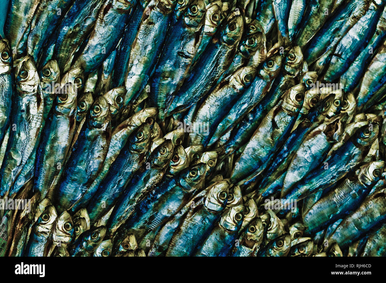 Fish la unión hi-res stock photography and images - Alamy