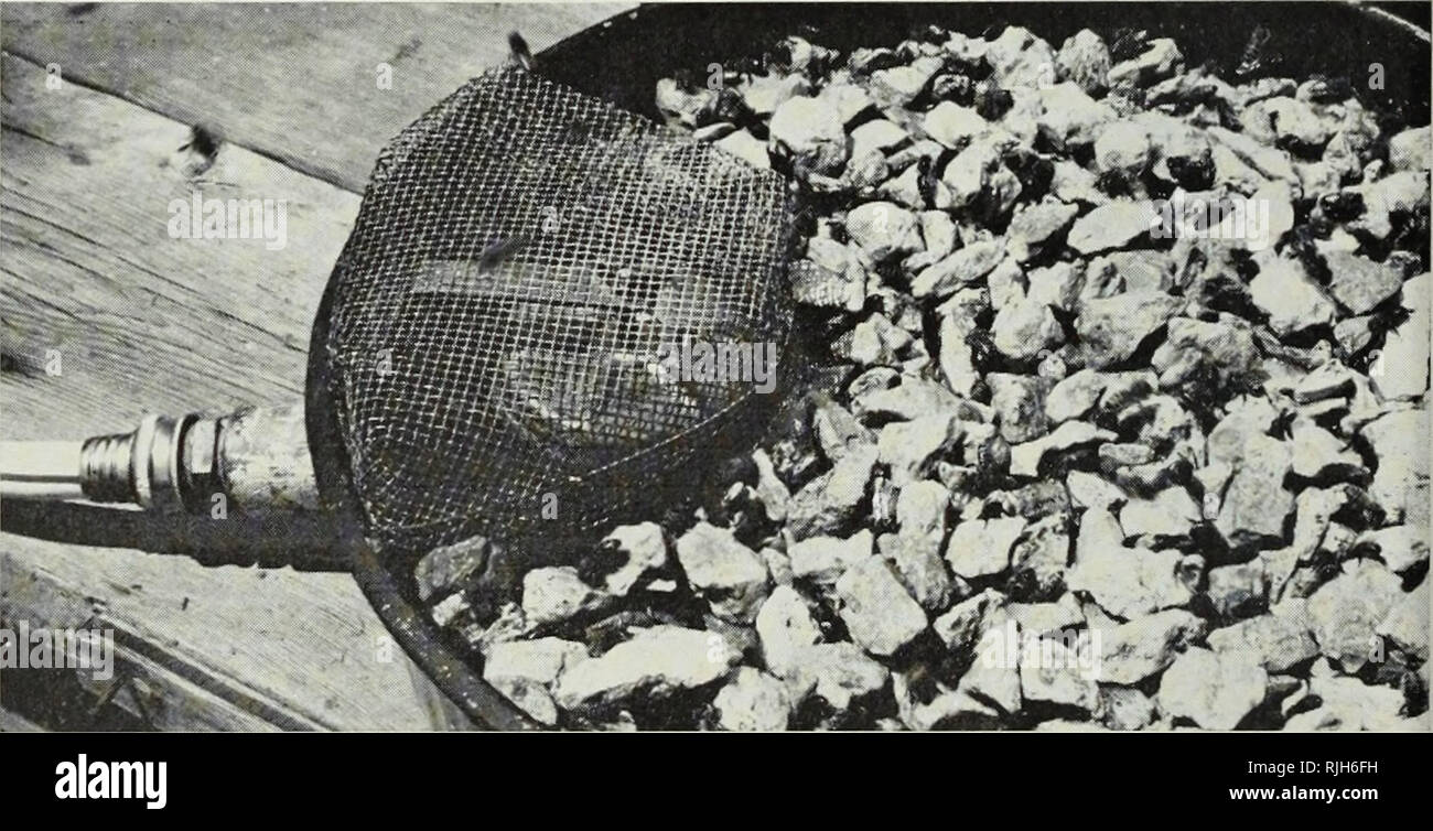 Nectar col hi-res stock photography and images - Alamy