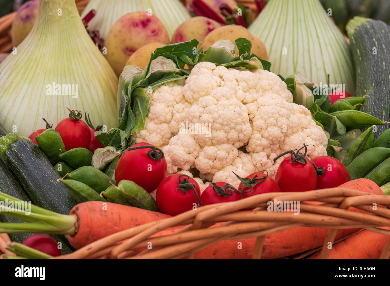 Close up group fresh cucumber hi-res stock photography and images - Alamy