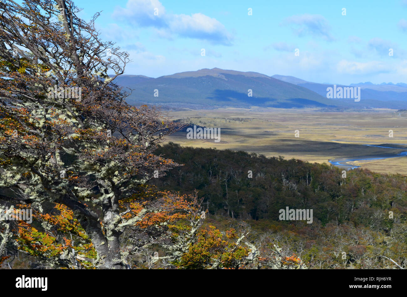Karukinka, a pristine Biosphere reserve at the heart of Tierra del ...