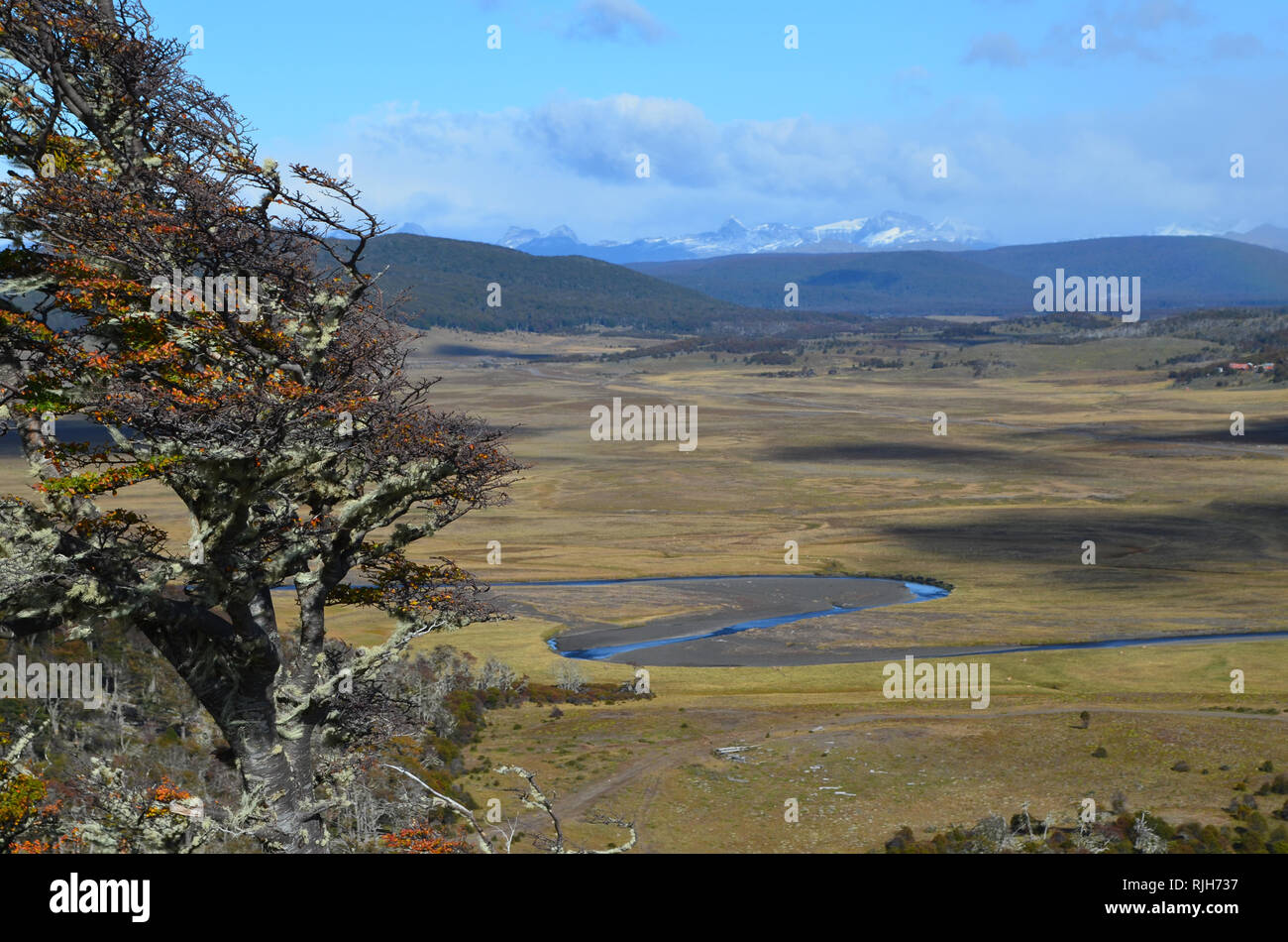 Karukinka, a pristine Biosphere reserve at the heart of Tierra del ...