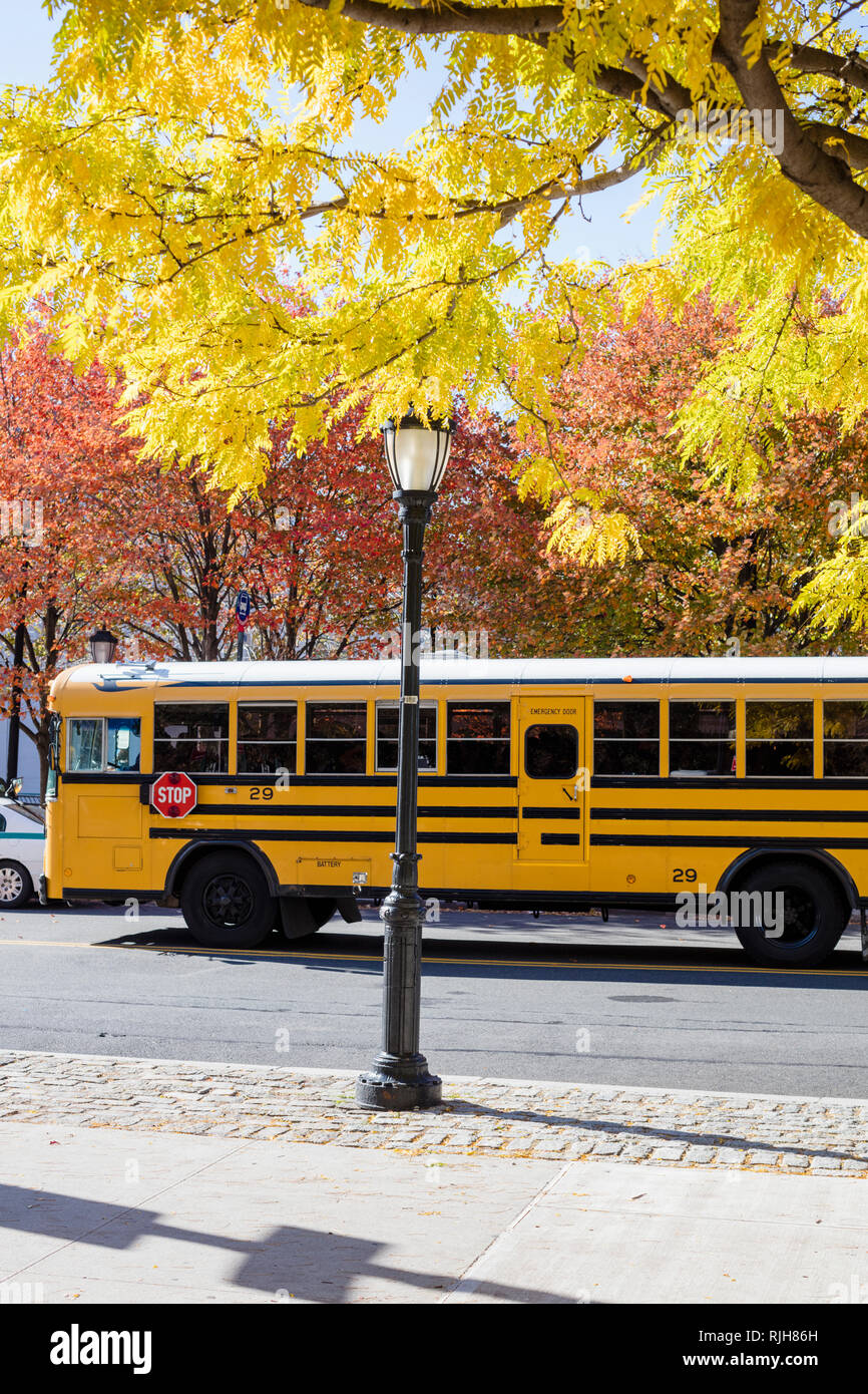 Yellow school bus Stock Photo - Alamy