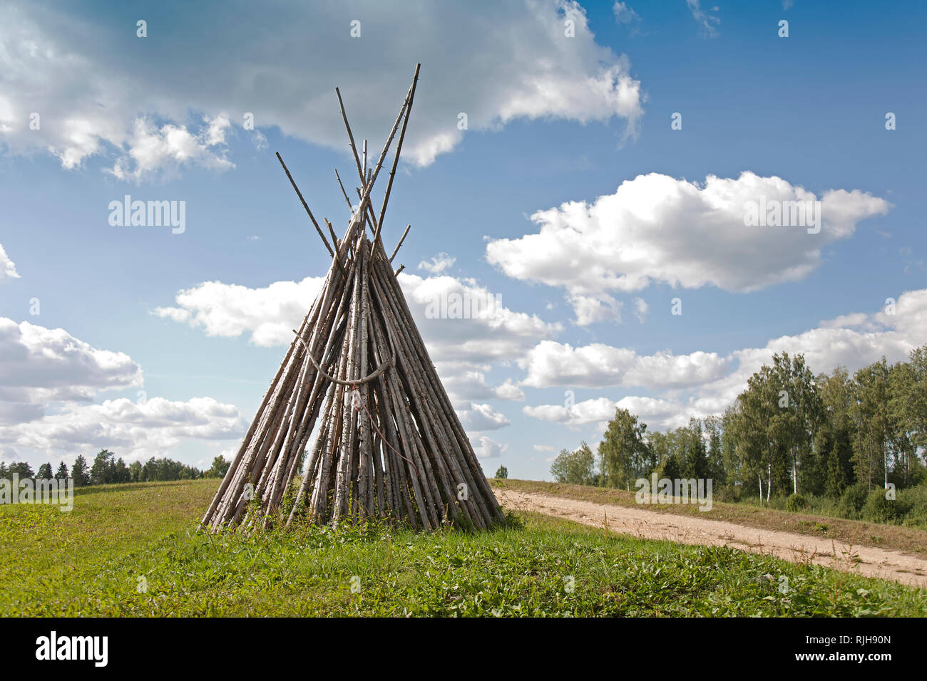 Conic Wood Structure Stock Photo - Alamy