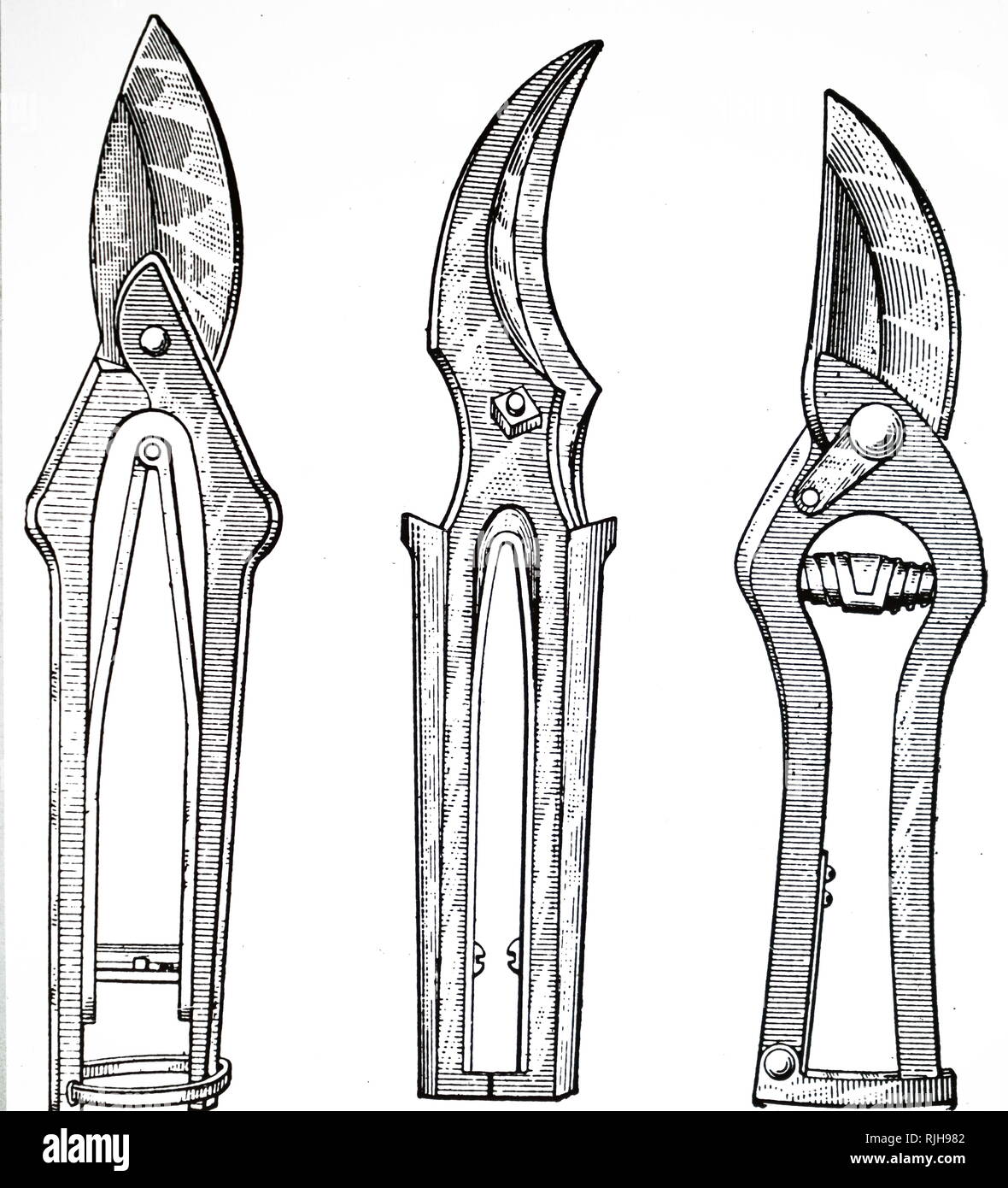 An illustration depicting various designs of secateurs. Dated 20th ...