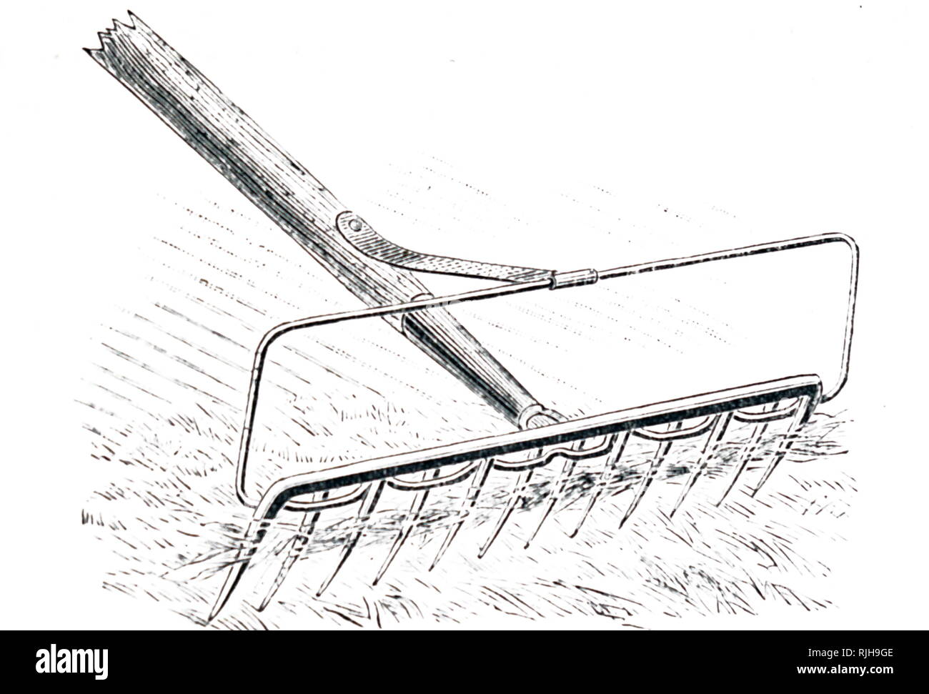 Pressed leaves frame hi-res stock photography and images - Alamy