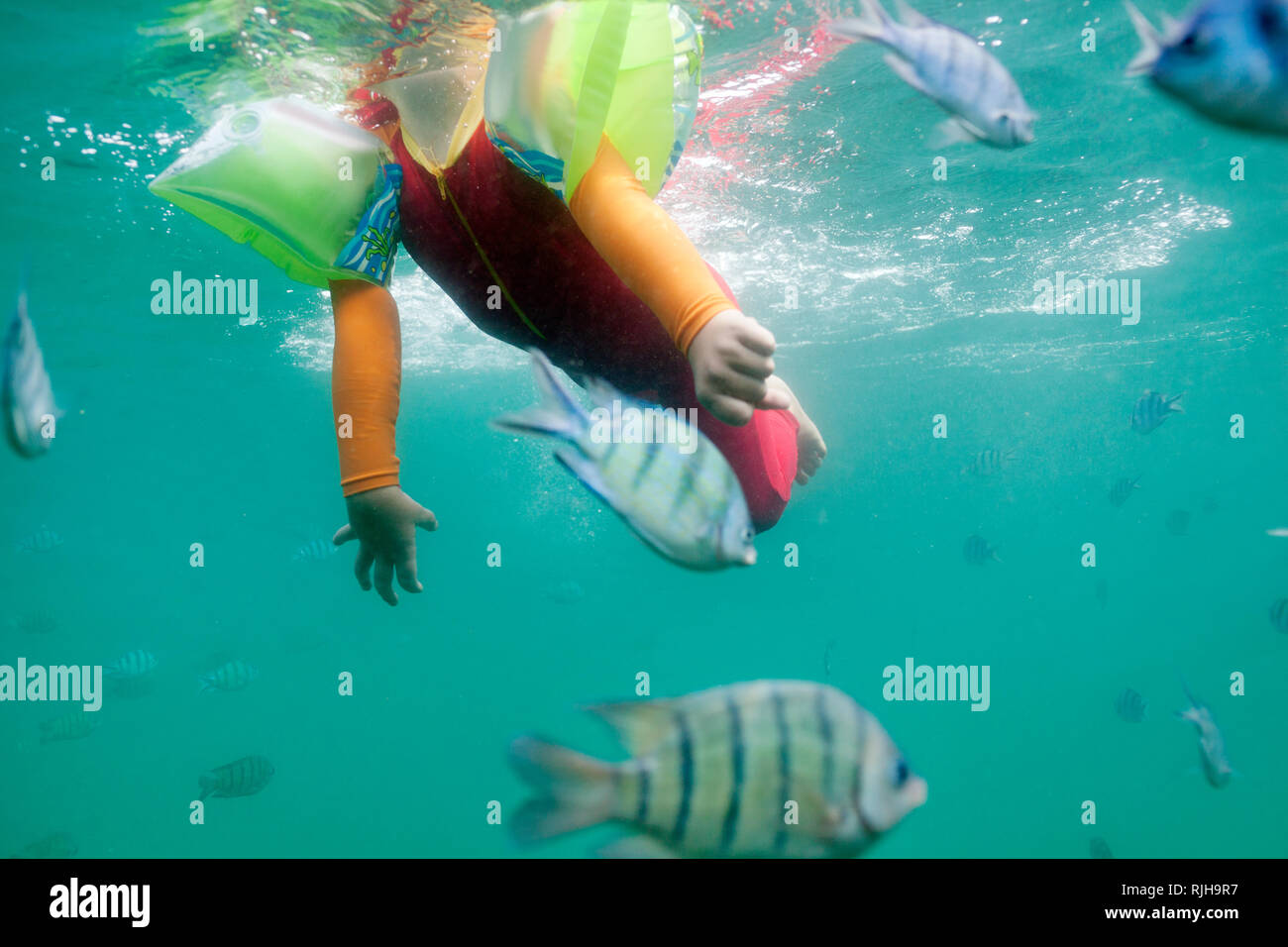 6 people swimming hi-res stock photography and images - Alamy