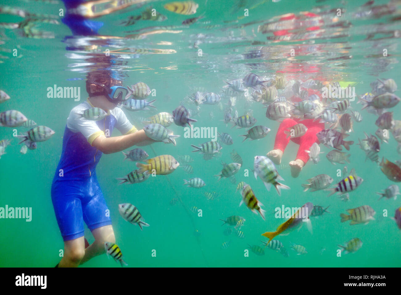 Children swimming with fish around Stock Photo - Alamy