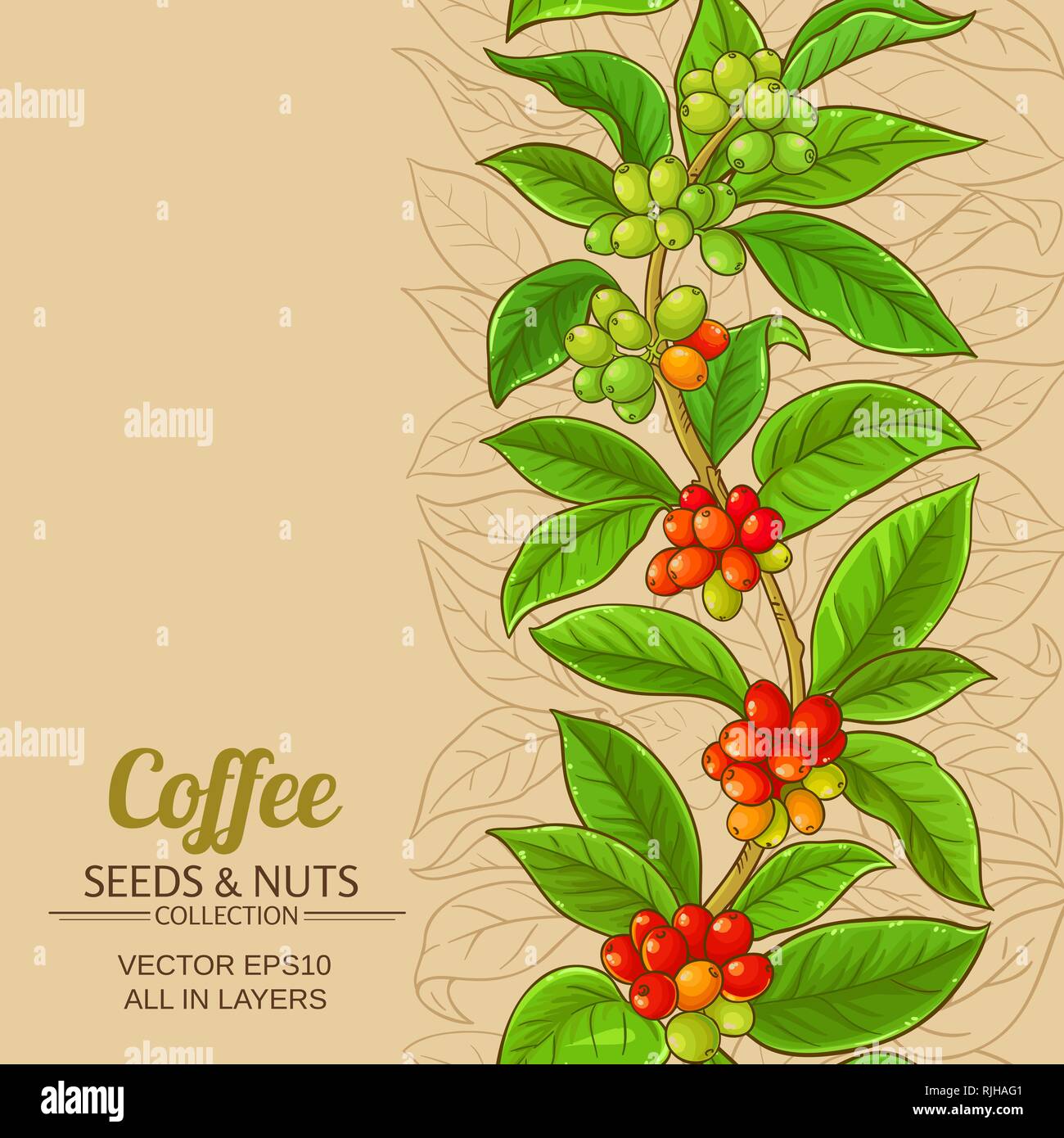 Arabic coffee vector vectors hi-res stock photography and images - Alamy