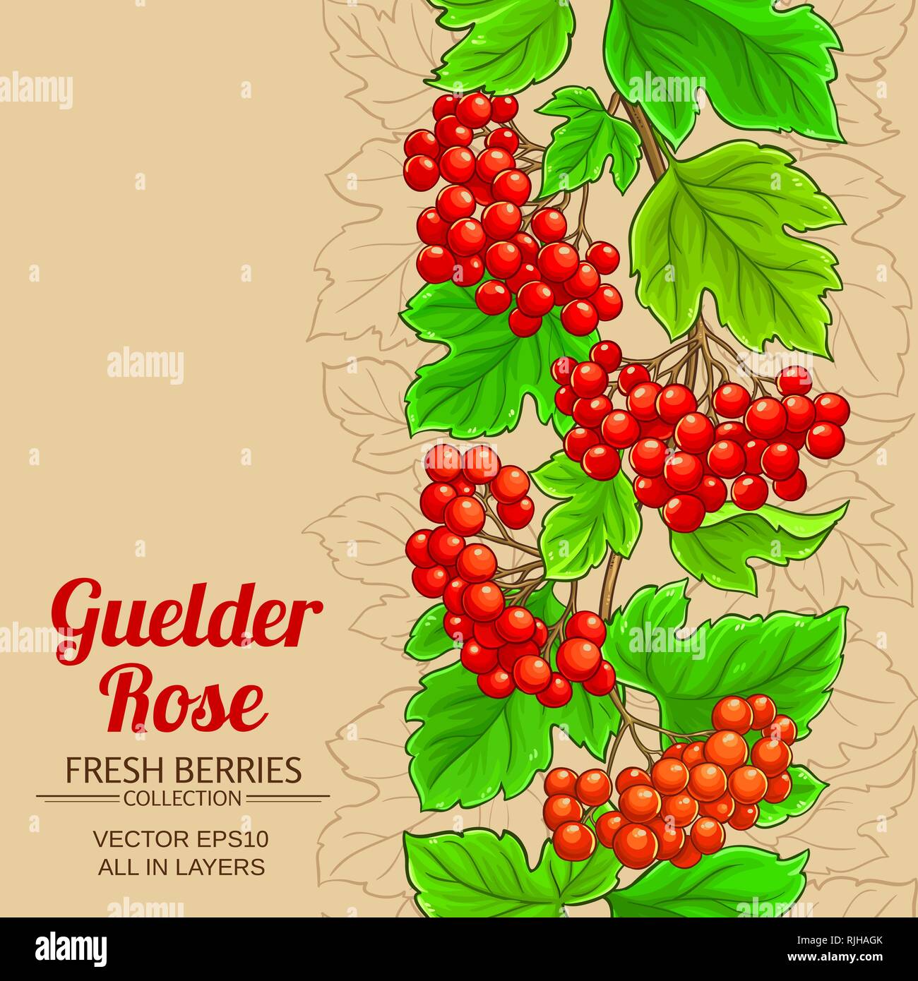 Red rose on autumn Stock Vector Images - Alamy