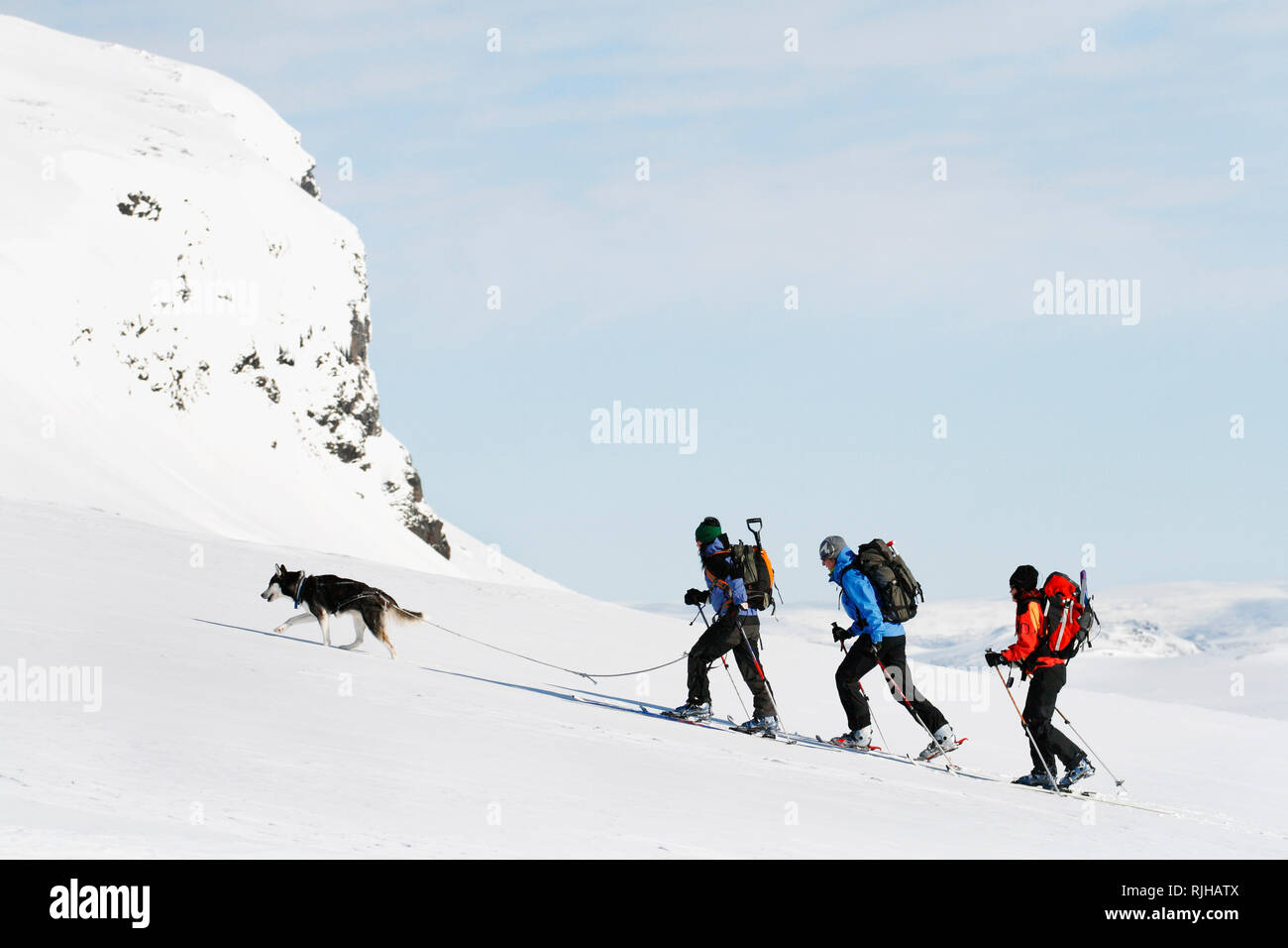 Scandinavian people hi-res stock photography and images - Alamy