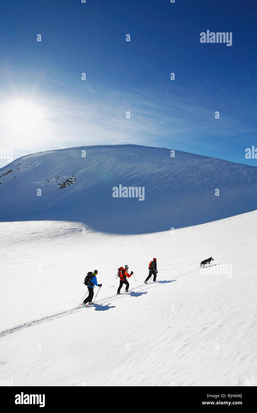 Scandinavian people hi-res stock photography and images - Alamy