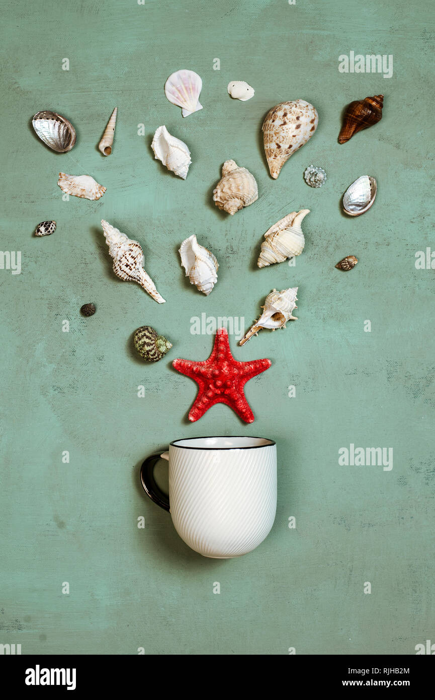 Sea shells on gray background. Summer concept. Flat lay top view ...