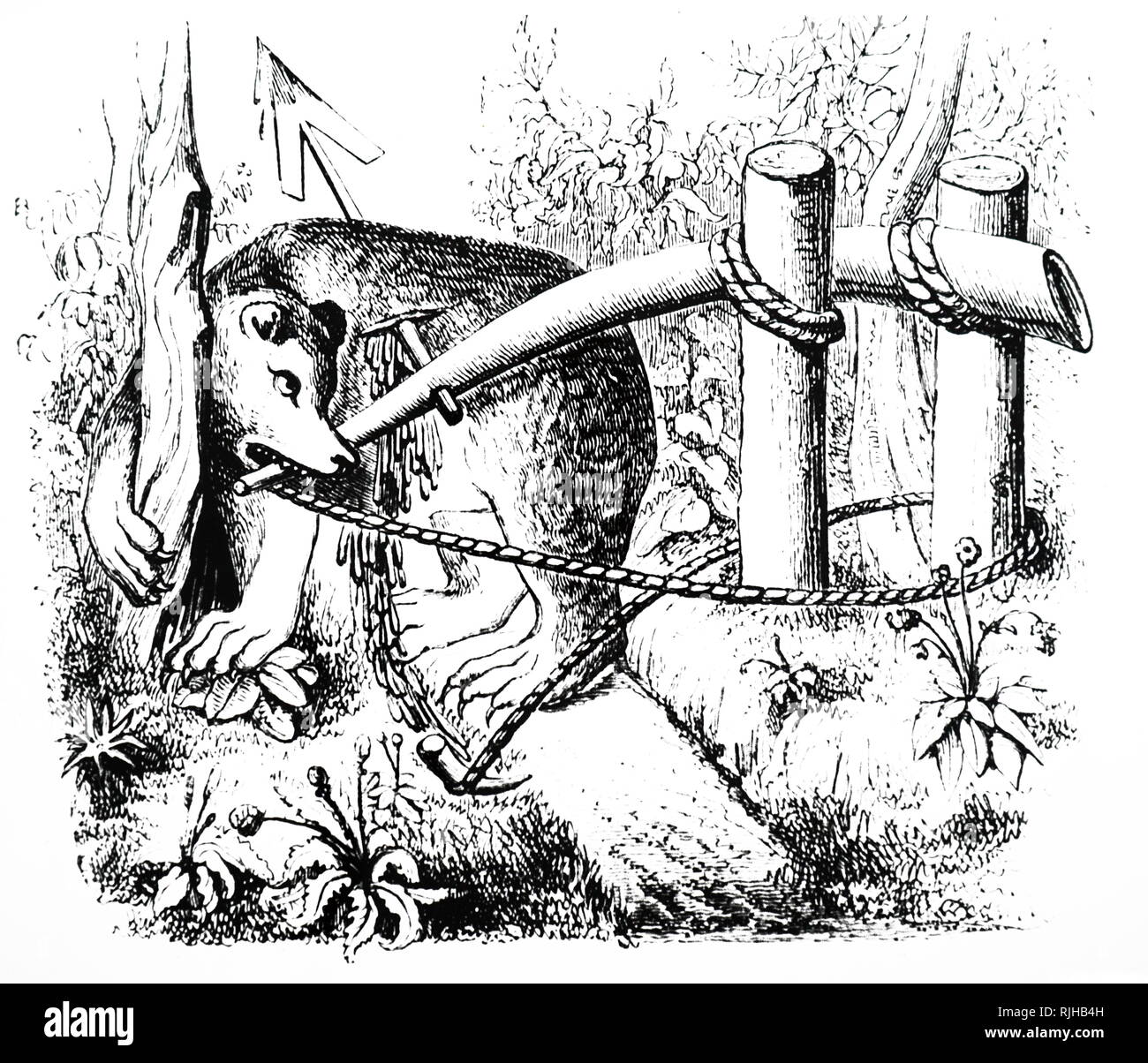 Gaston febus hi-res stock photography and images - Alamy