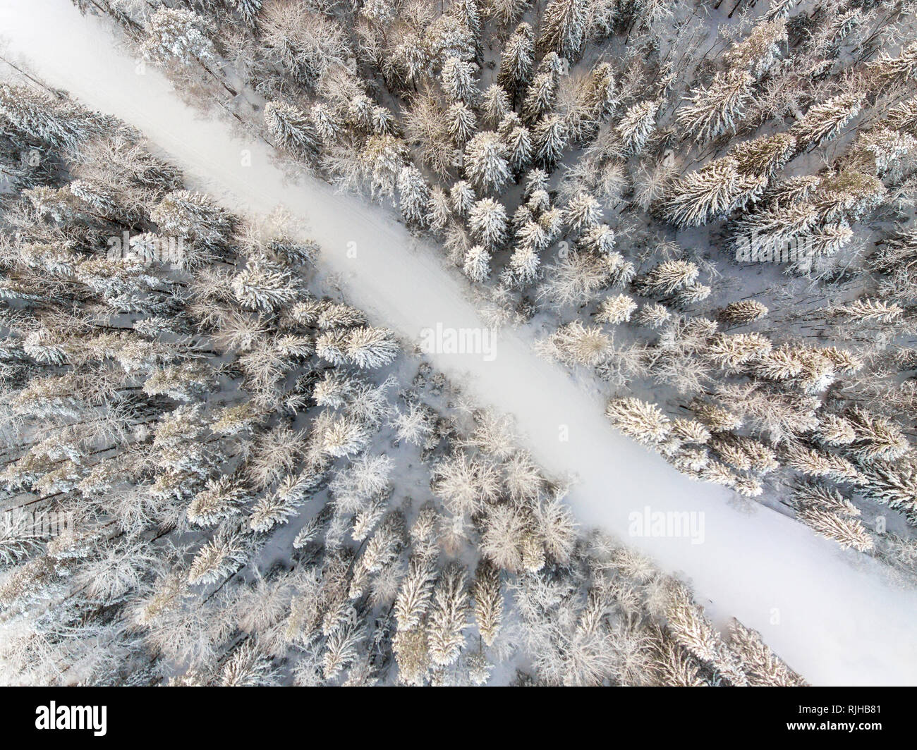 Aerial view on pathway in wild snowy forest Stock Photo - Alamy