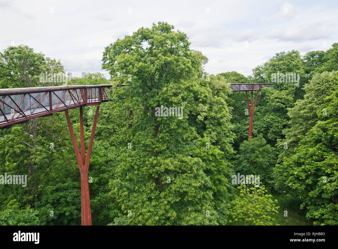 Tree Walkway in Kew Gardens Stock Photo - Alamy