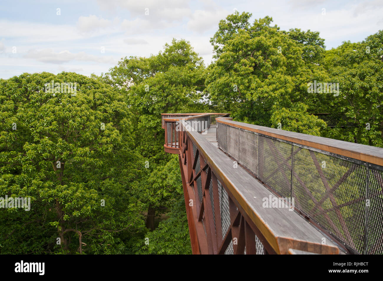 Tree Walkway in Kew Gardens Stock Photo - Alamy