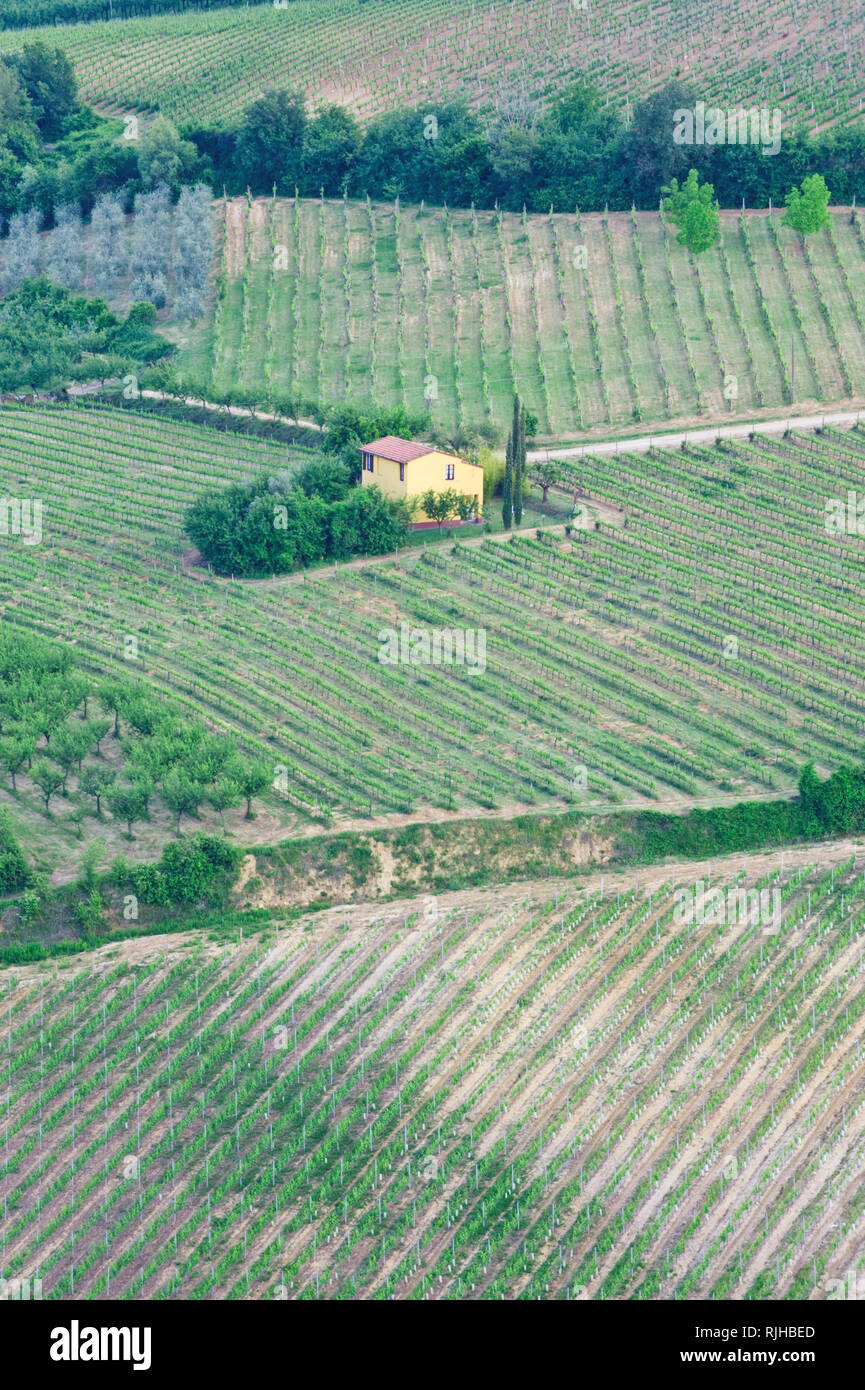 Yellow House in a Vineyard Stock Photo - Alamy