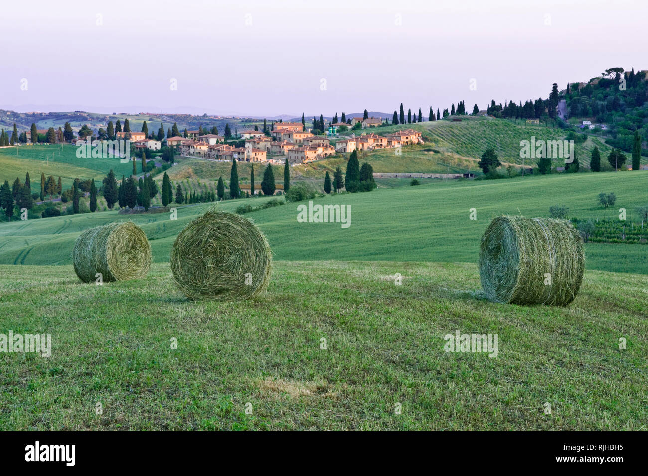Spring harvest hi-res stock photography and images - Alamy