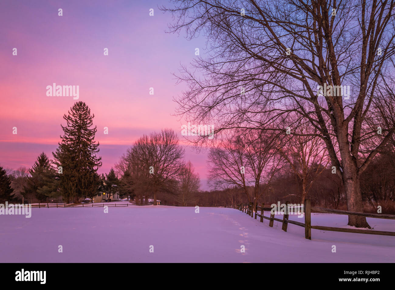 Winter snow at dusk fills the sky with beautiful tones of violet on a ...
